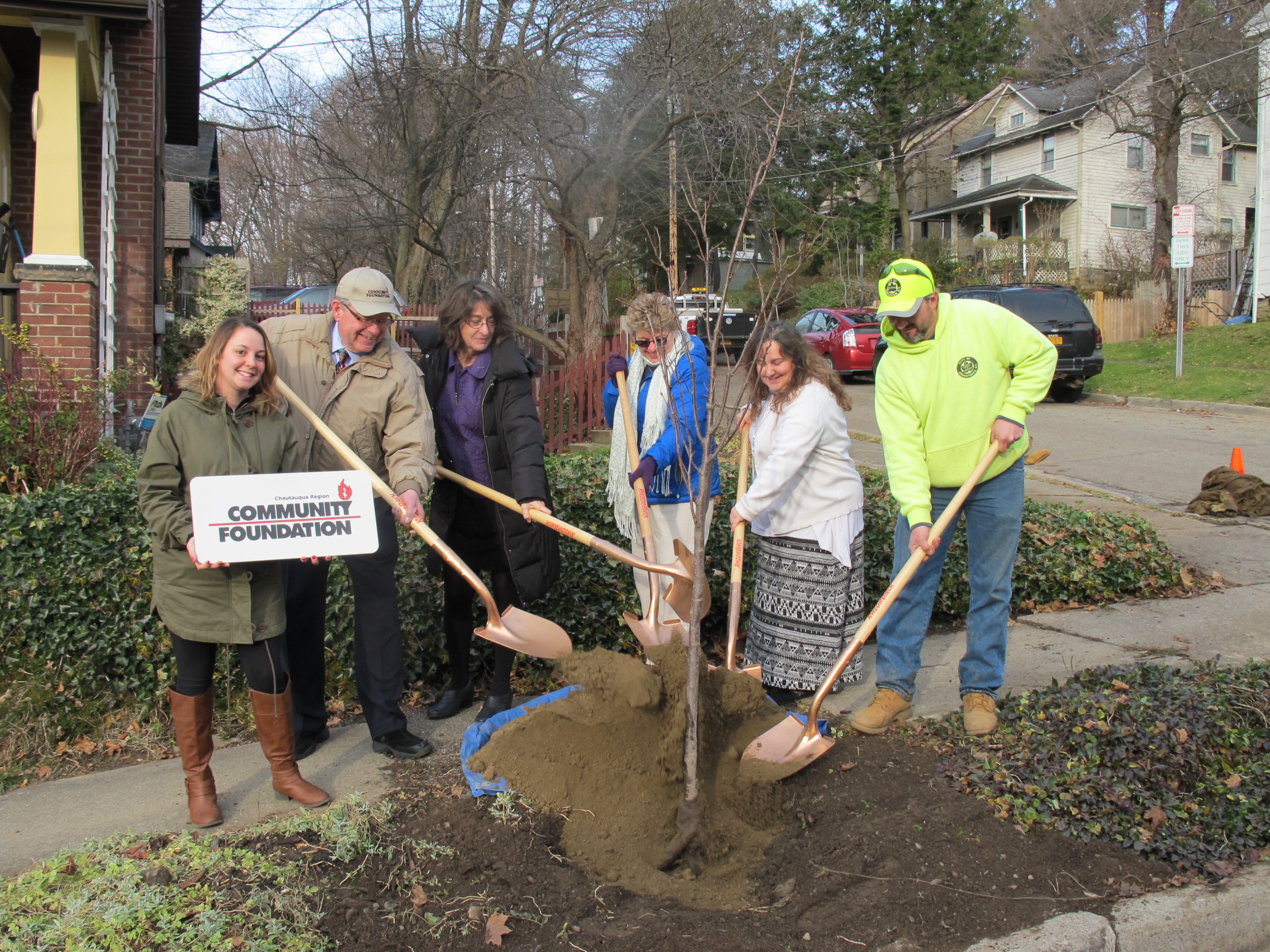 Ongoing Collaboration Leads To New City Trees | News, Sports, Jobs ...
